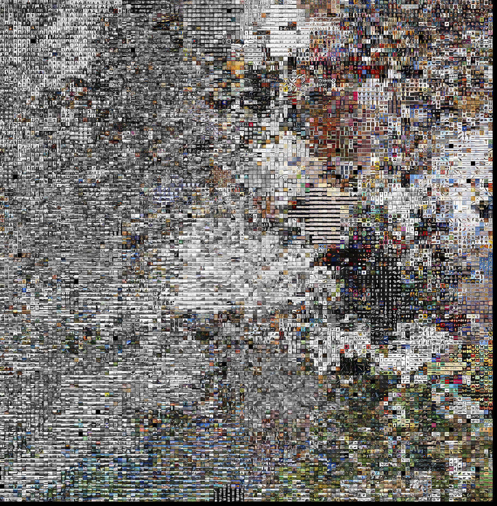 AMNH Photographic Collection